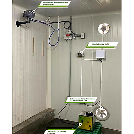 Sistema de Maduración Controlada para Frutas Climatéricas | Rodin SRL